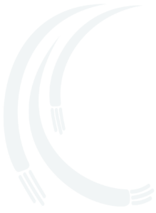 TISD: Port Lavaca, Victoria, TX - TISD